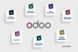 What Is Odoo Used For? - Guru Blog